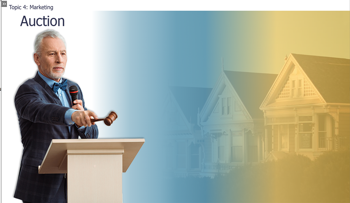 Real Estate Owned (REO) 101 (2022) – Cheryl A. MacLeod